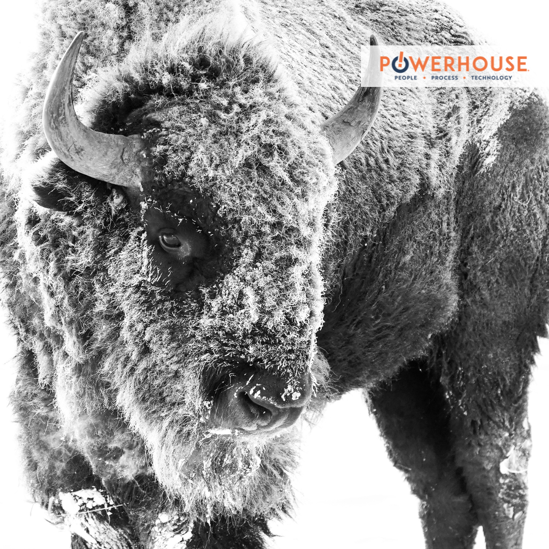 Unlock Your Potential with Powerhouse’s Emerging Leader Manager ...